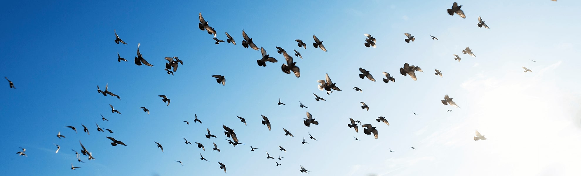 Meet Our People & Our Leaders | Jameel Motors